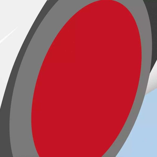 Protector de rines tesa 50551